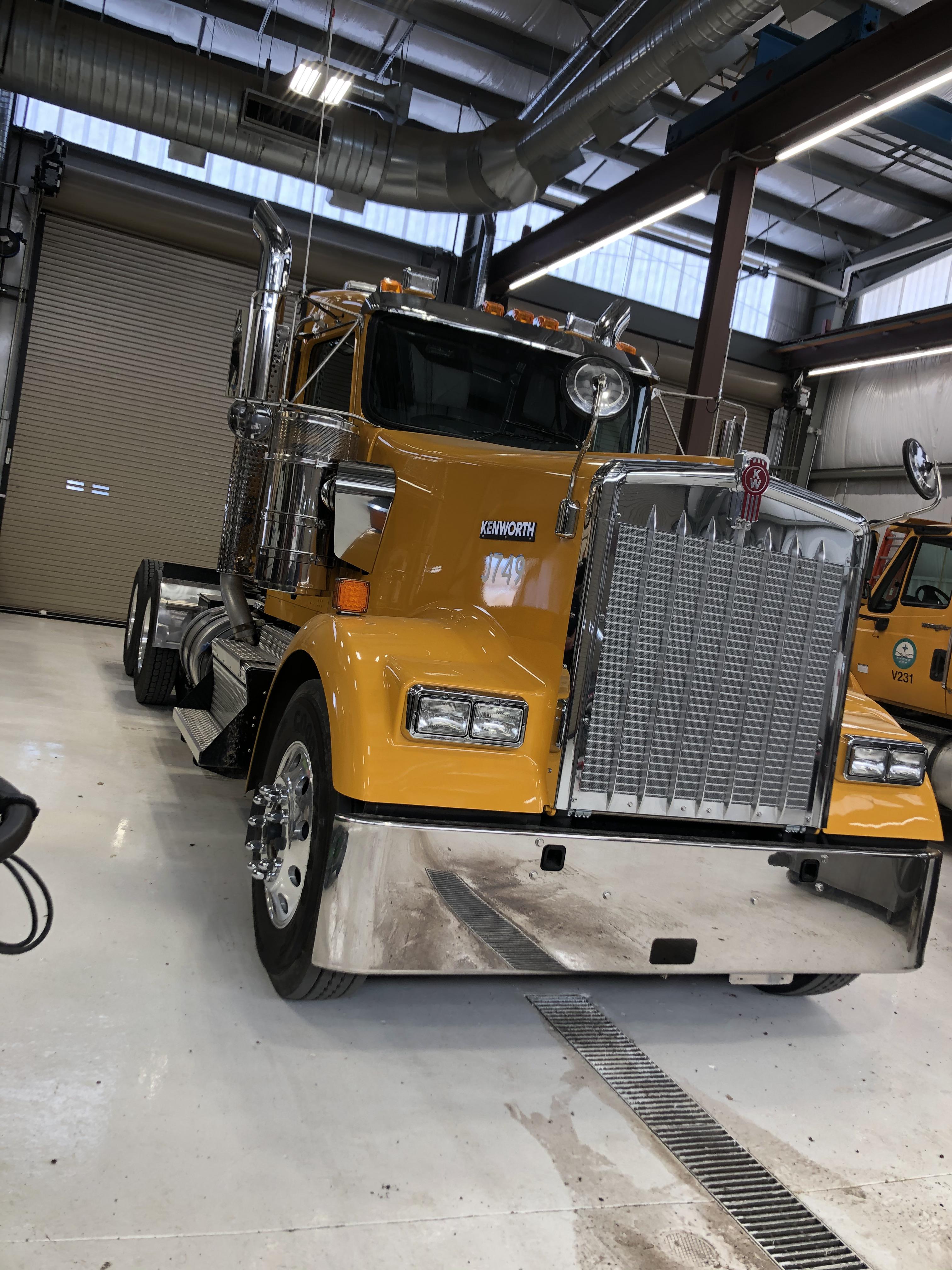 The beast! | Scrolller