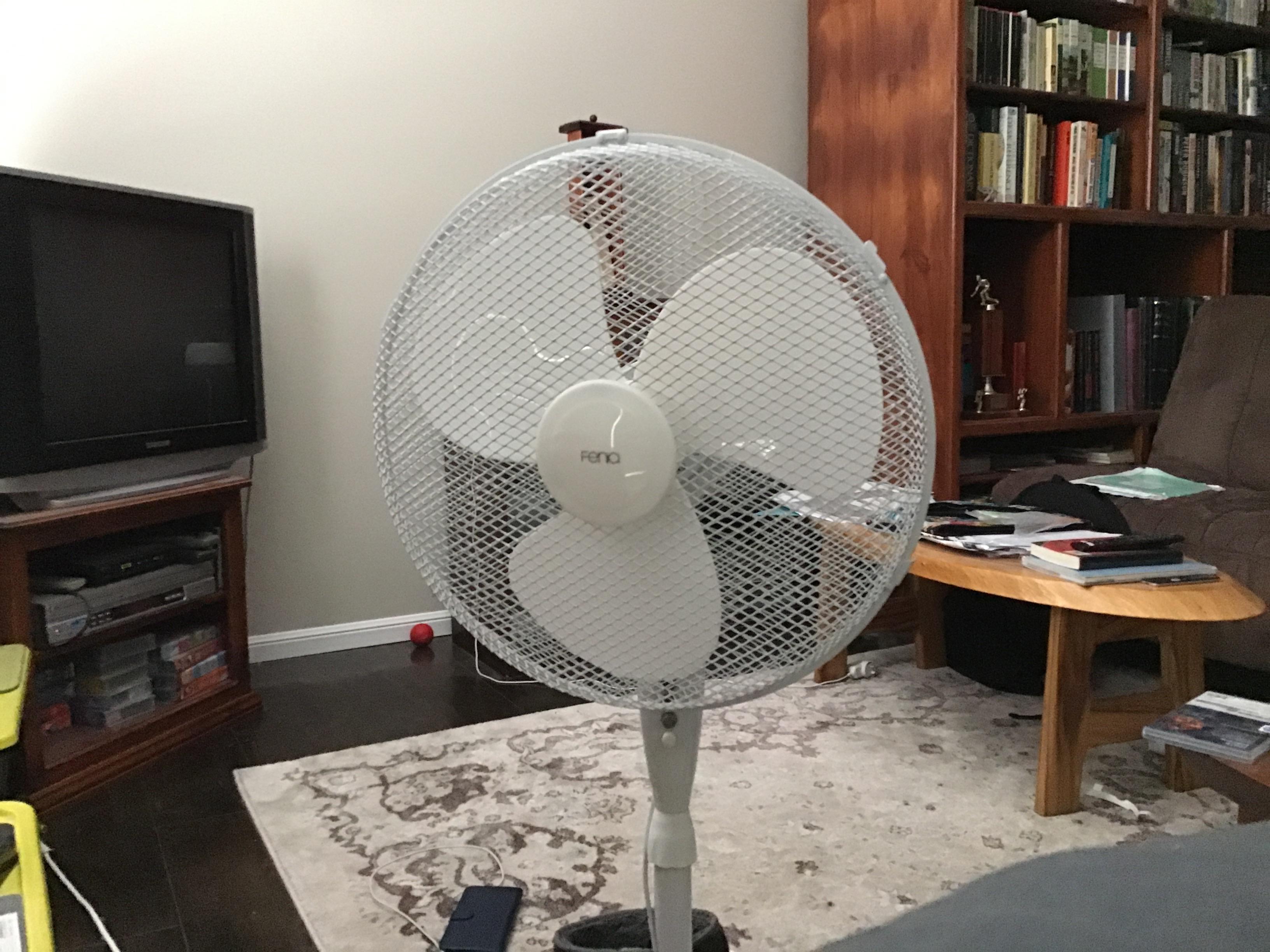 The Bedside Buddy | Scrolller