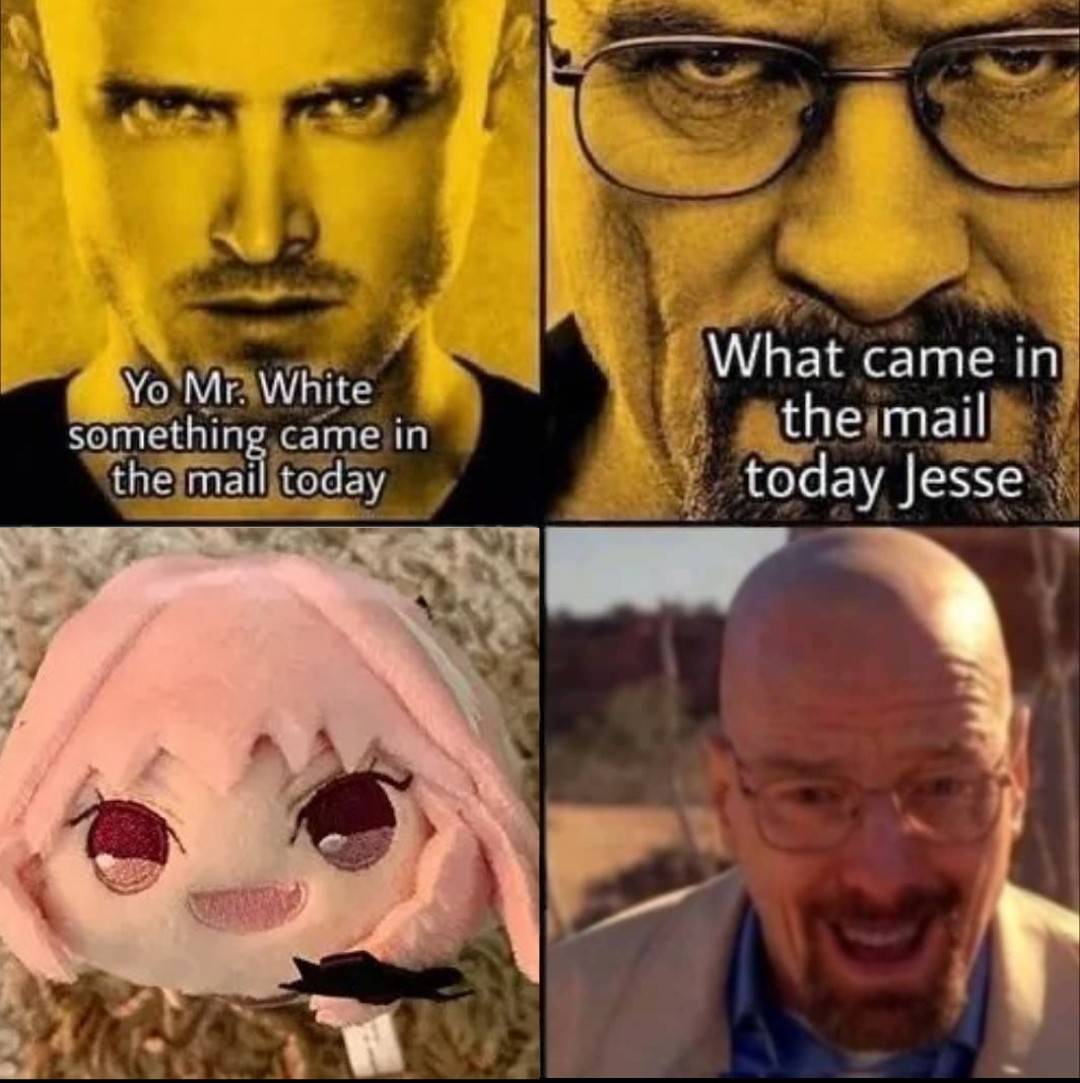 The best day of Mr. White life | Scrolller