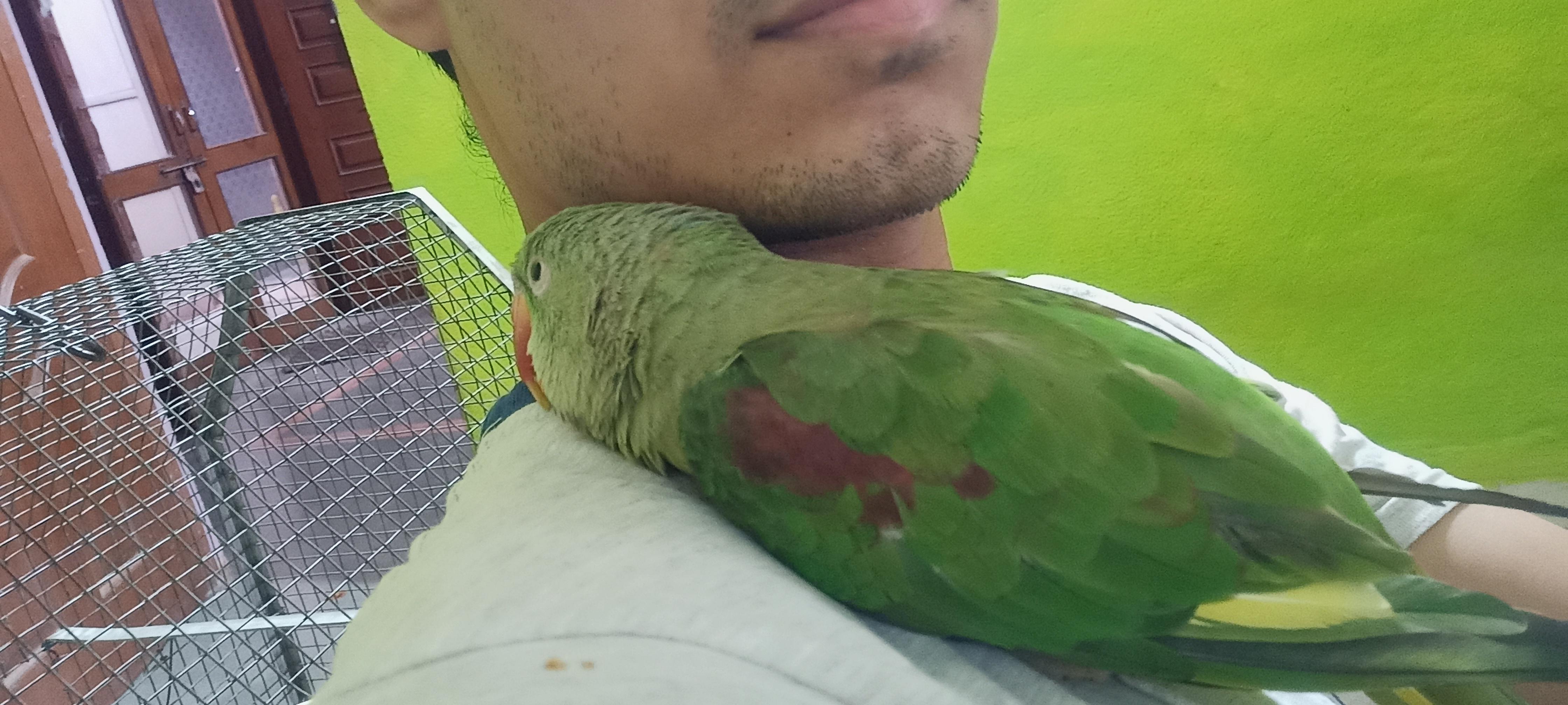 The best feeling ever:) | Scrolller