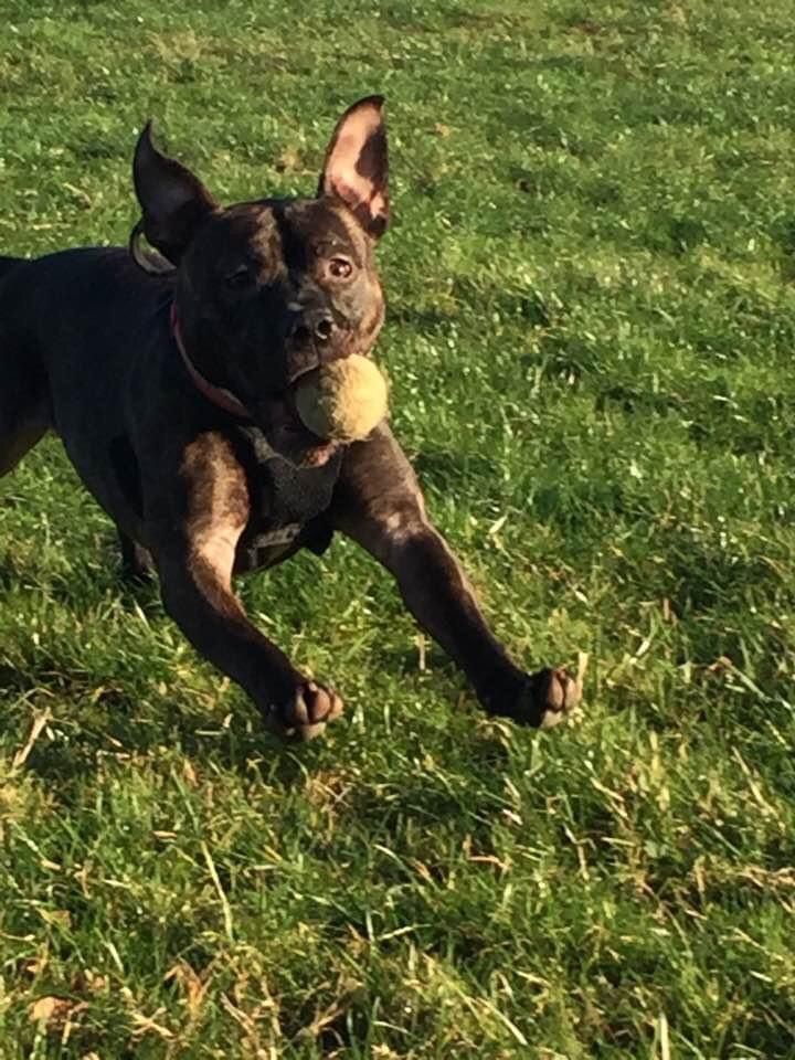 The best photo I have ever taken. Meet my little man Simon | Scrolller