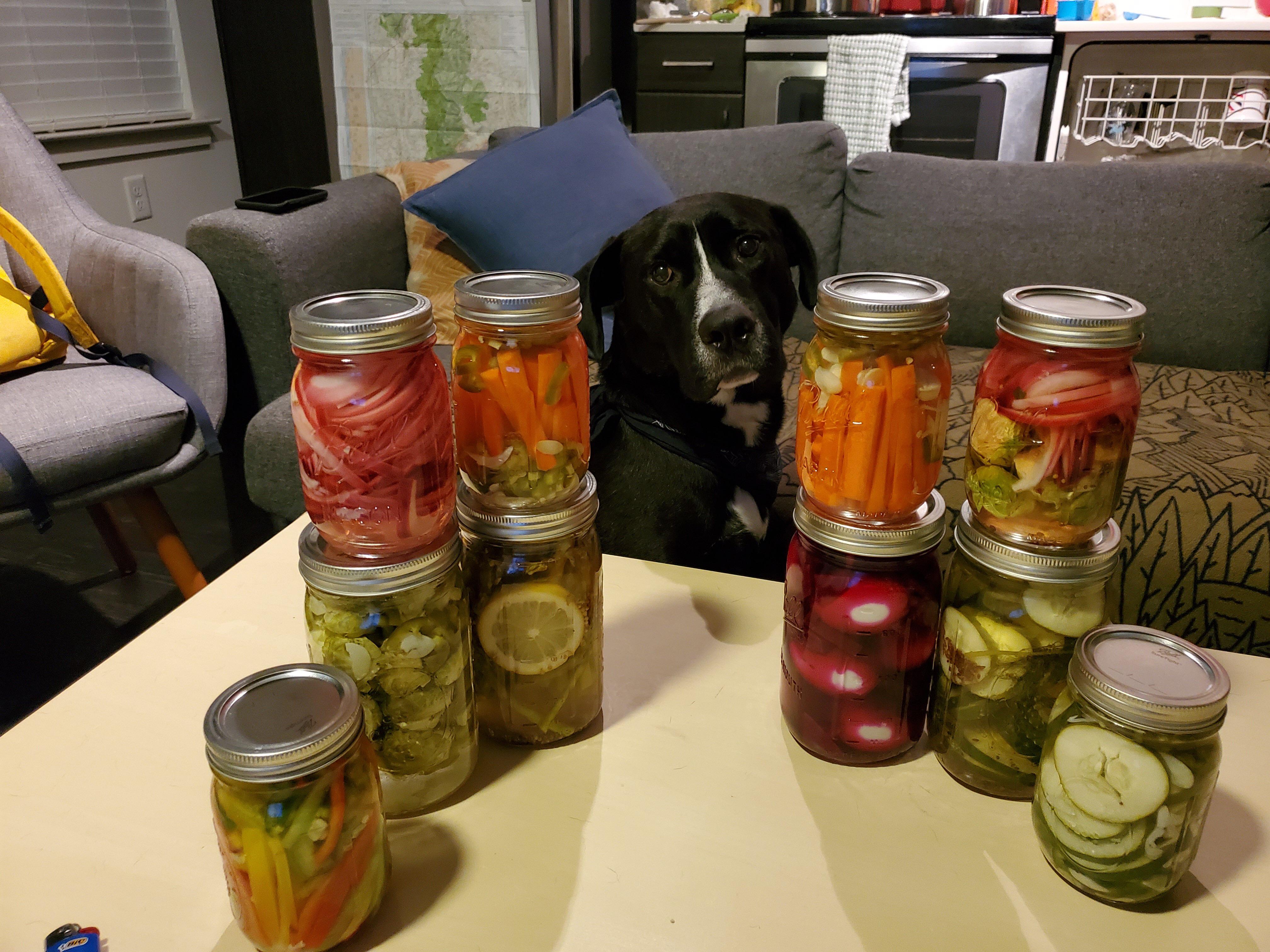 The best pickling partner | Scrolller