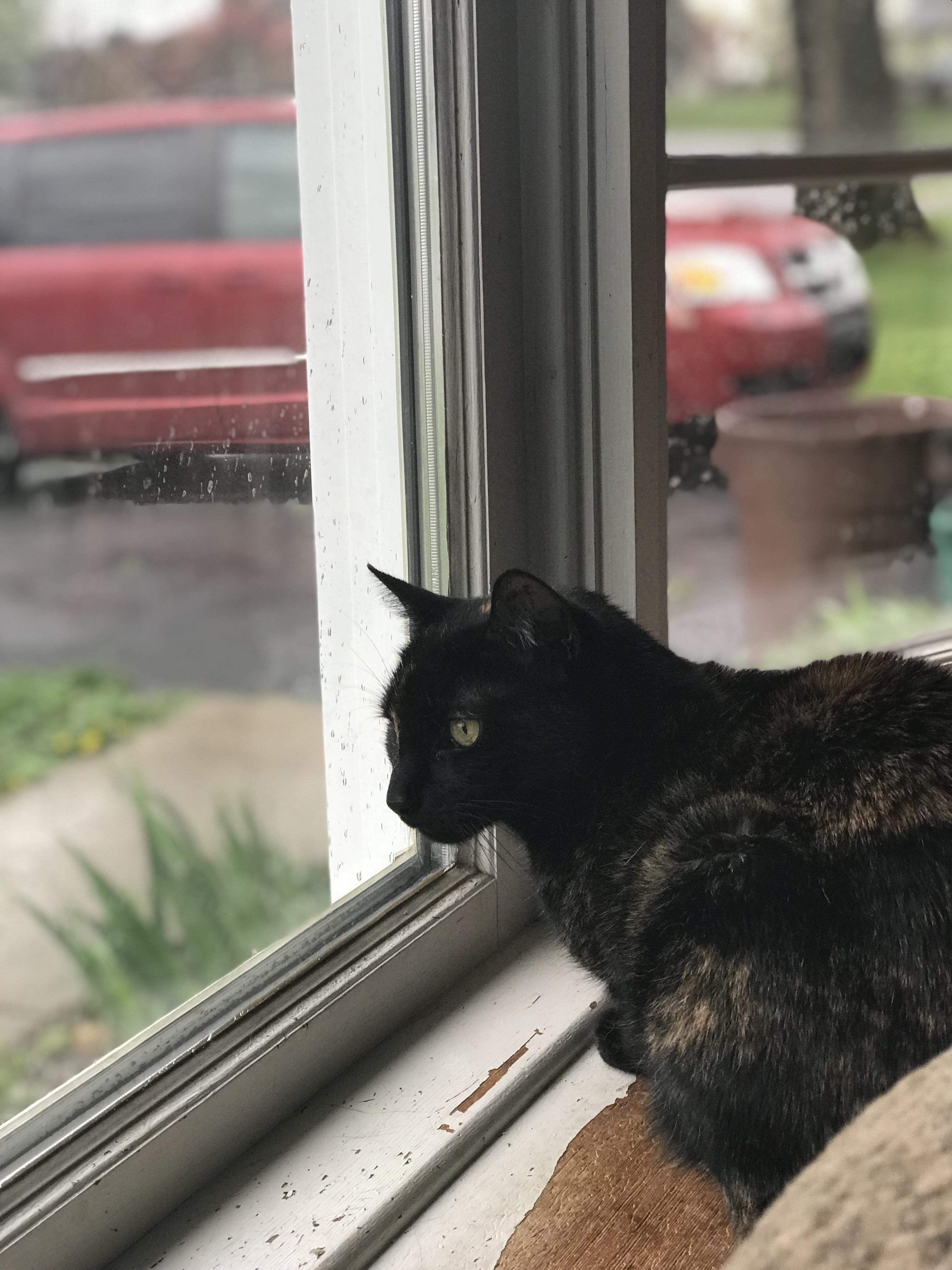 The birds that she was watching decided to fly away. | Scrolller