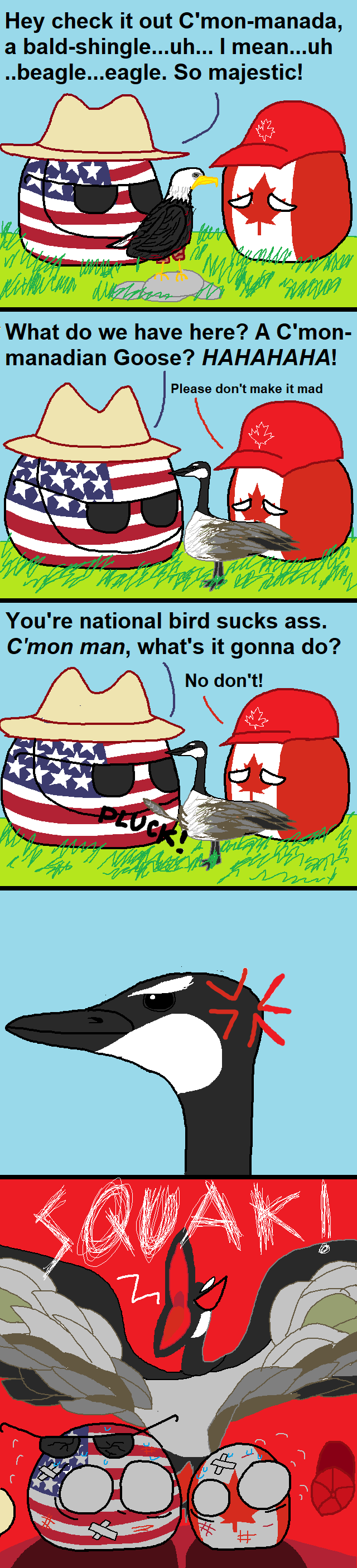 The Canadian Goose | Scrolller