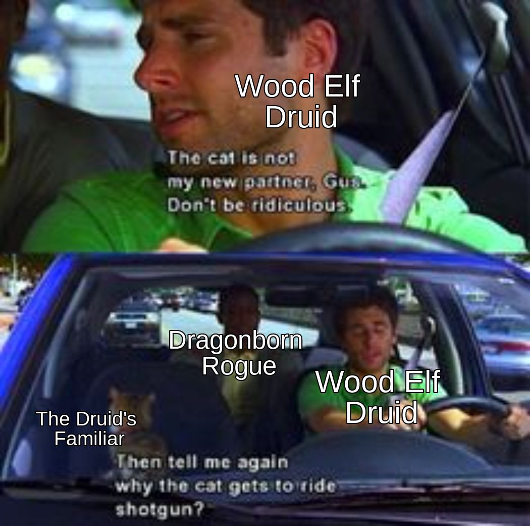 The cat gets motion sickness! | Scrolller