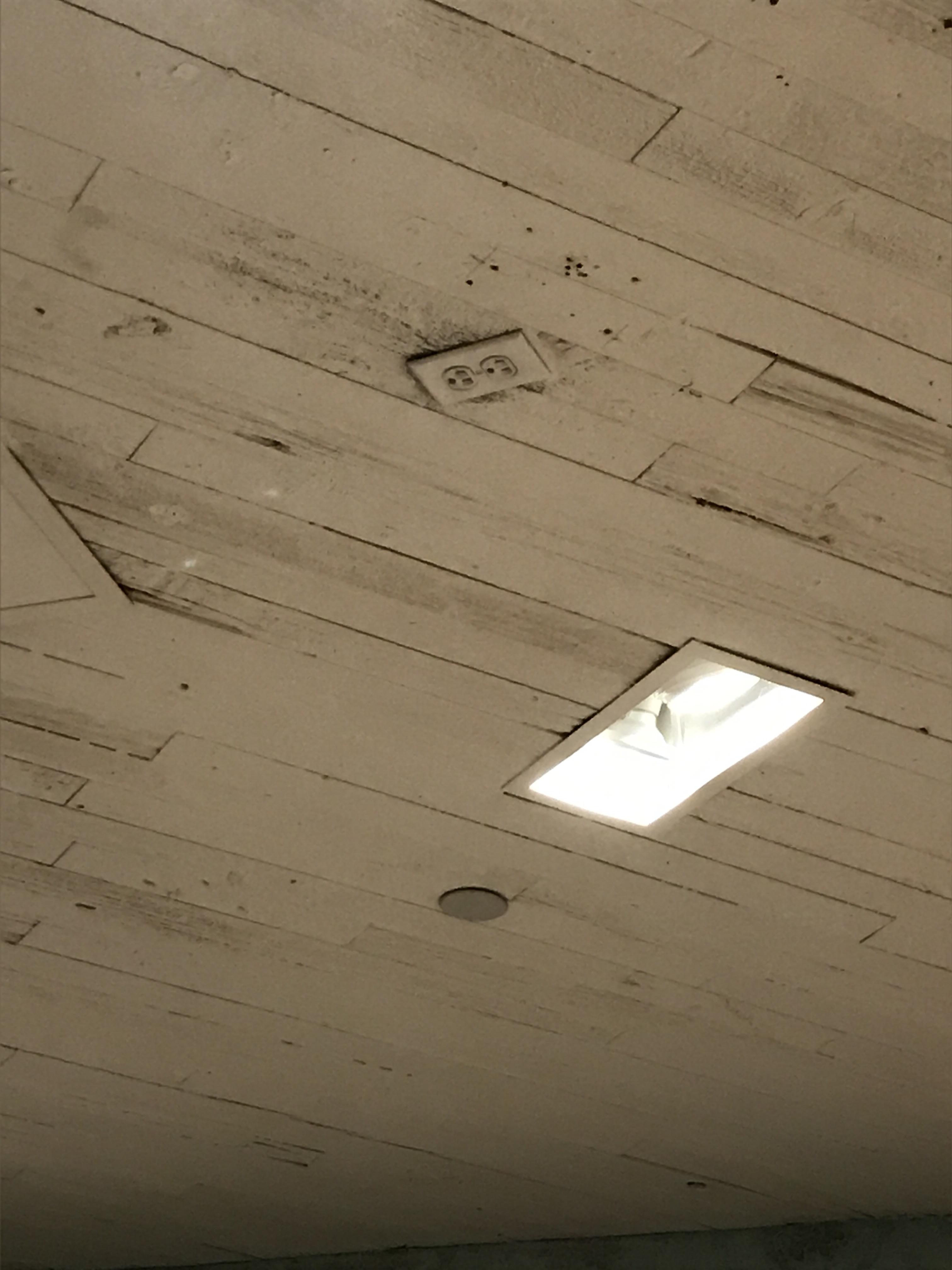 The ceiling of a store. There were no other outlets around the store. | Scrolller