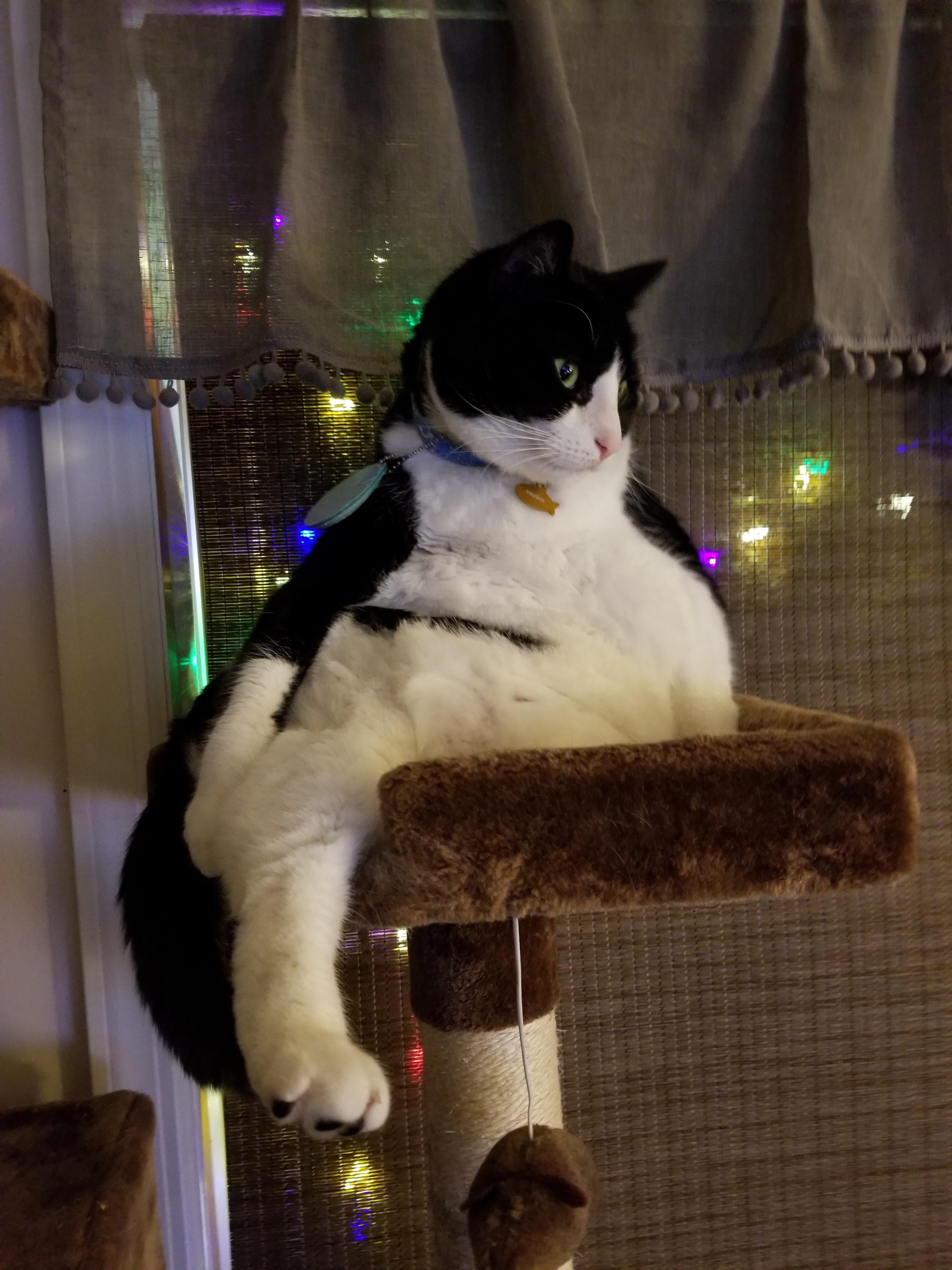 The choinkiest of drumsticks | Scrolller