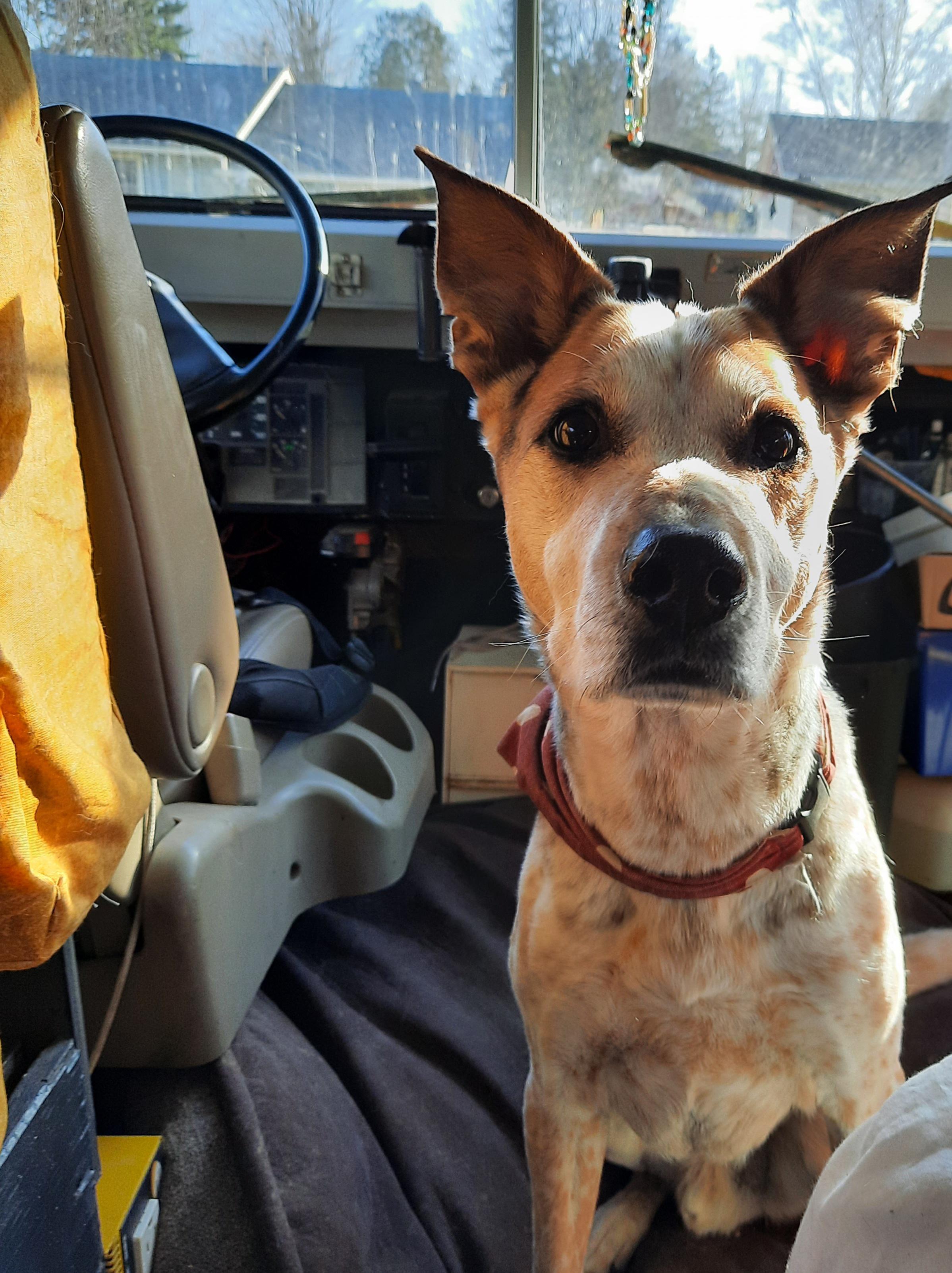 The co-pilot getting settled in | Scrolller