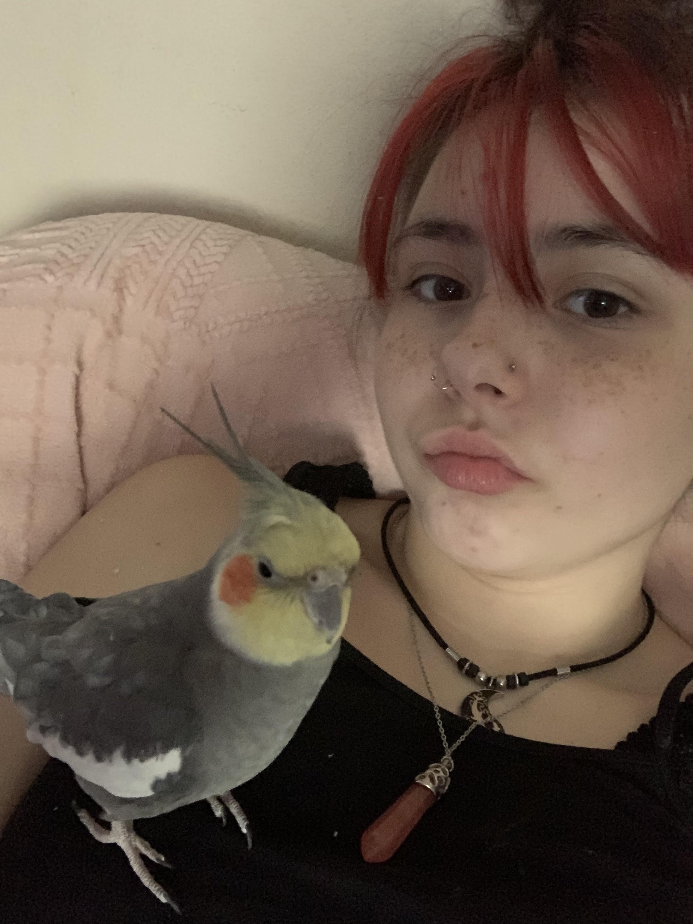 the cockatiel i bird sit loves me, she spends so long sitting on my chest😹💞 | Scrolller