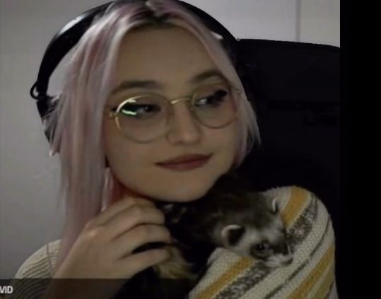 The "Dama Con L'Ermellino" (a paint of Leonardo da Vinci) german version: | Scrolller