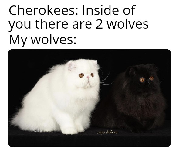 The darkness.... and the light | Scrolller