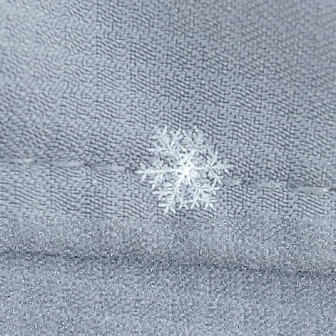 The details in this tiny snowflake | Scrolller