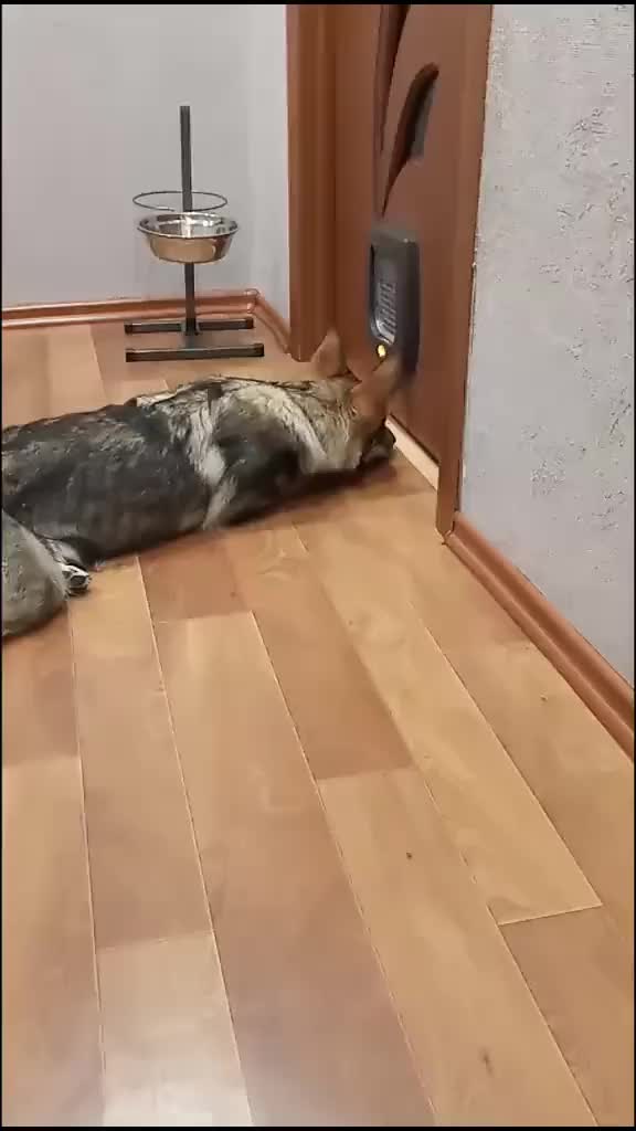 The dimension strikes back | Scrolller