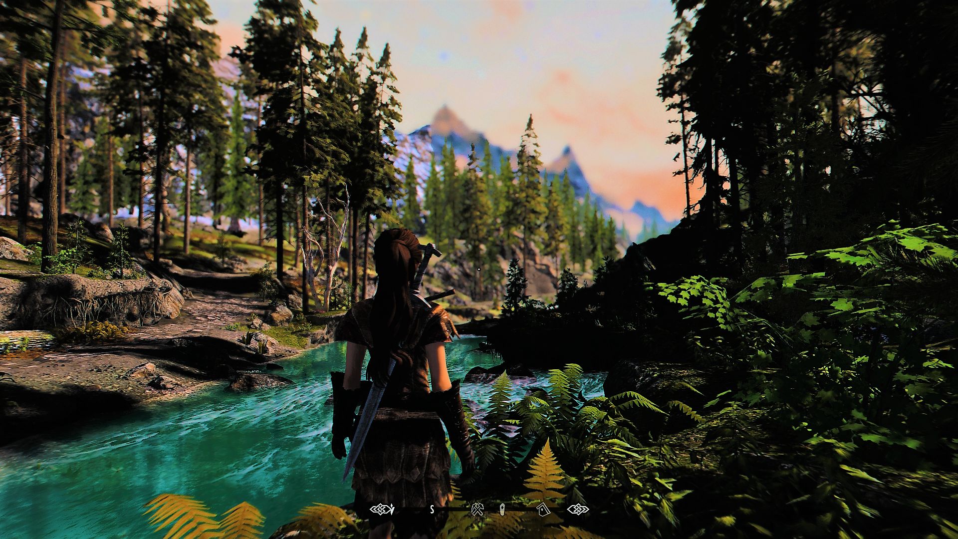 The Elusive Jedi Trees | Scrolller