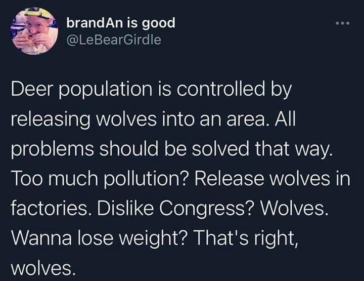 The Emperor when choosing how to deal with his problems. | Scrolller