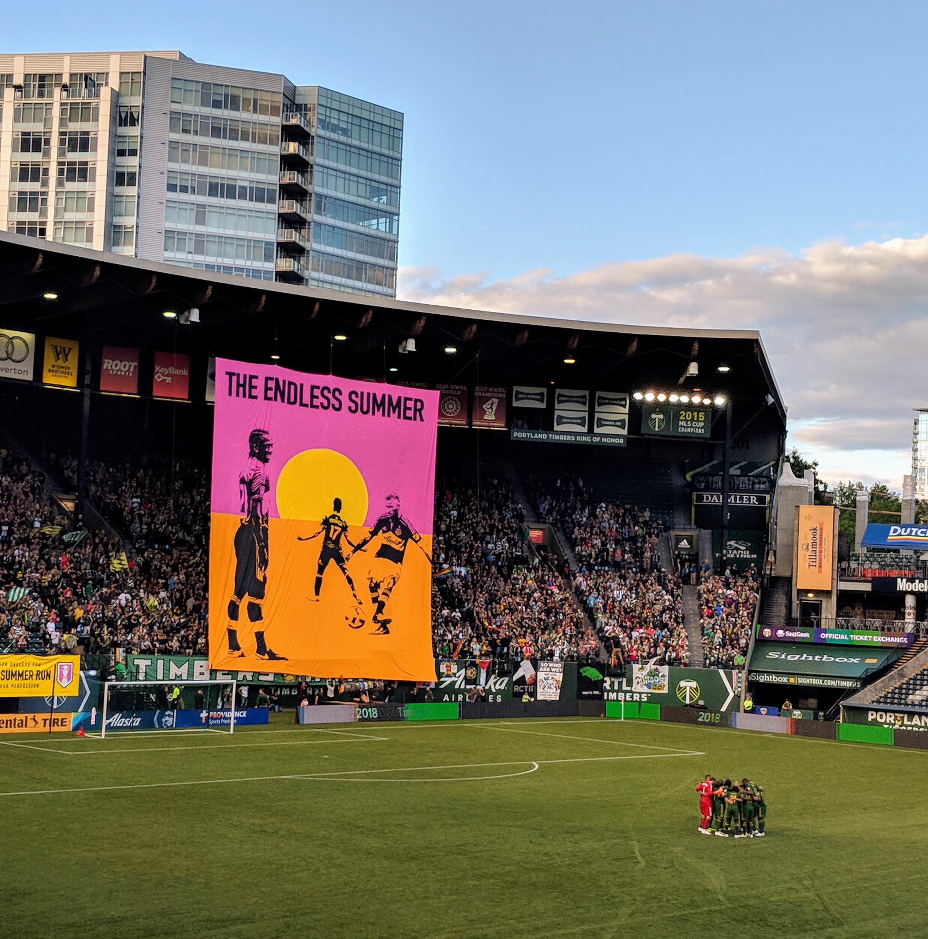 The Endless Summer | Scrolller