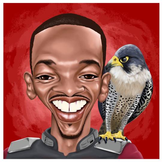 The Falcon | Scrolller