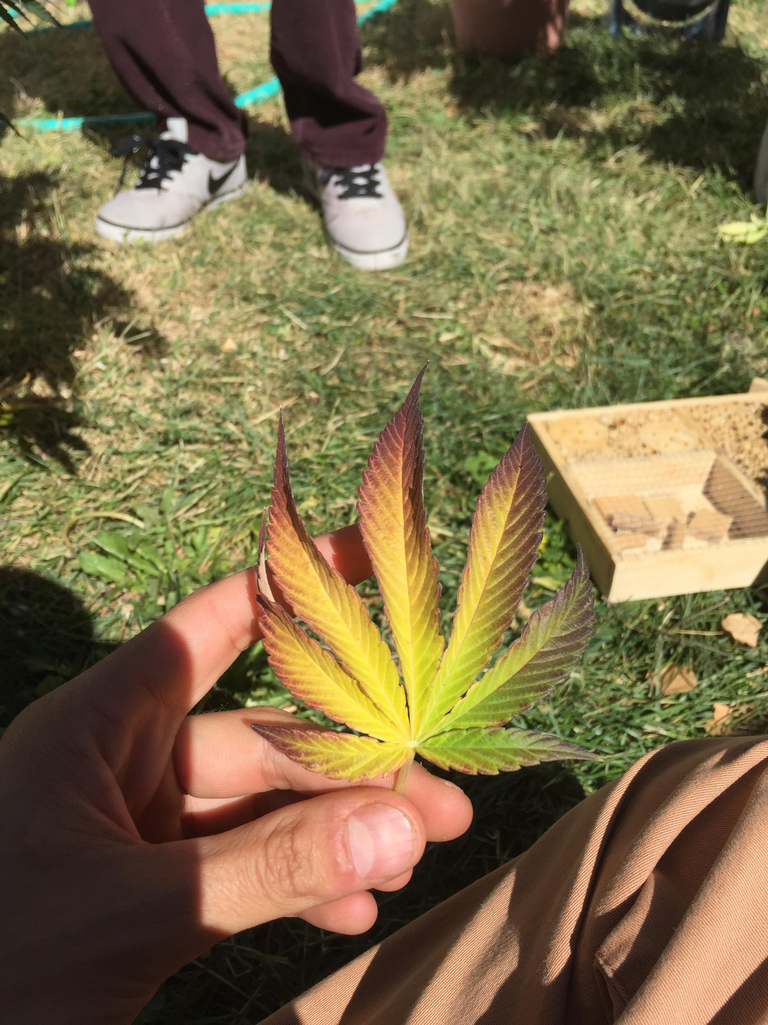 The fall colors sure are beautiful. | Scrolller