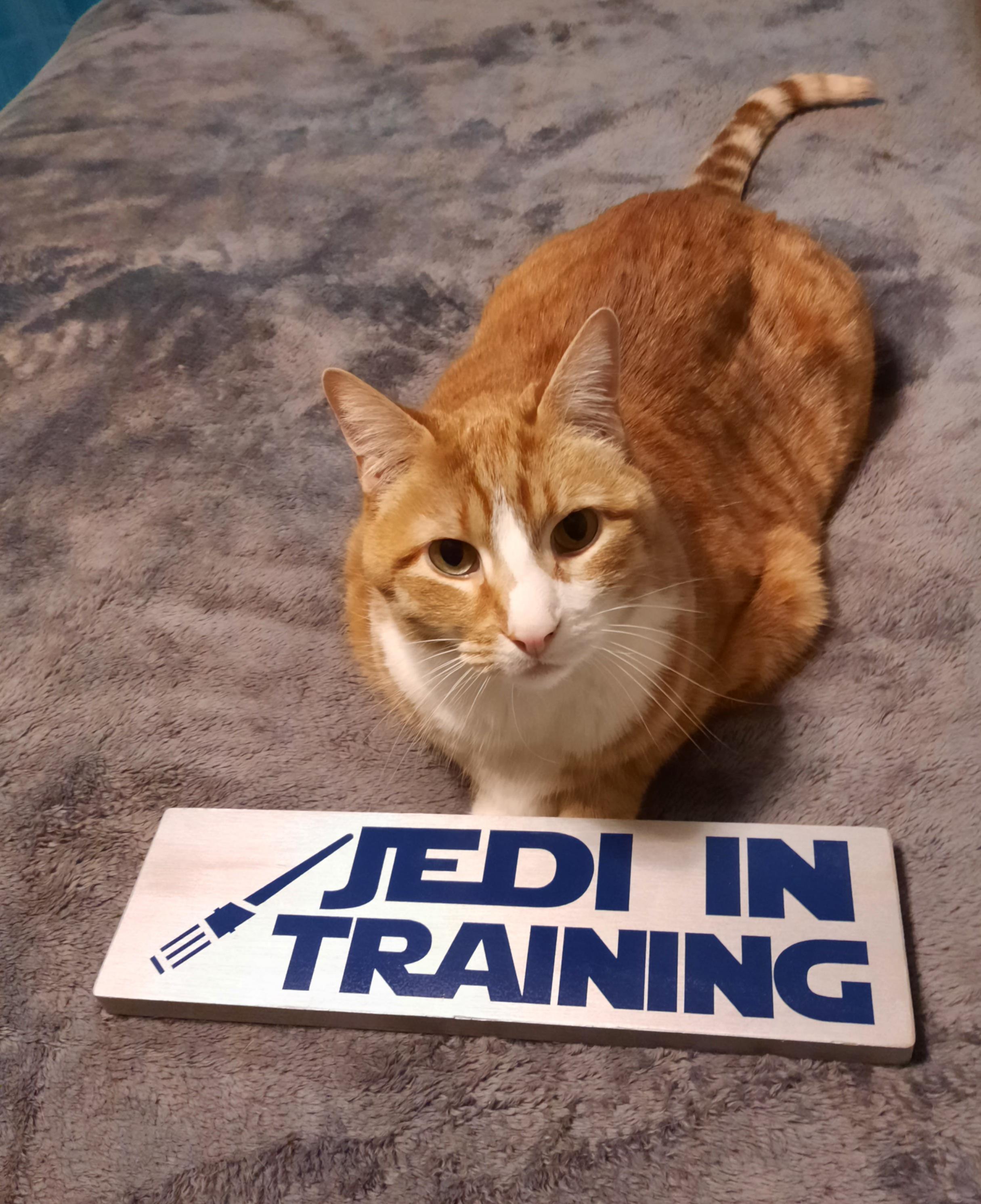The final Jedi in training...Not as brave as the others, but he can sure squash his opponents ...