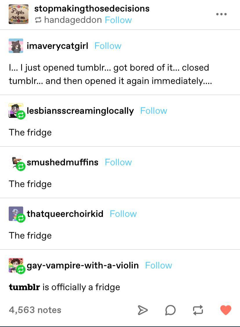 The fridge | Scrolller