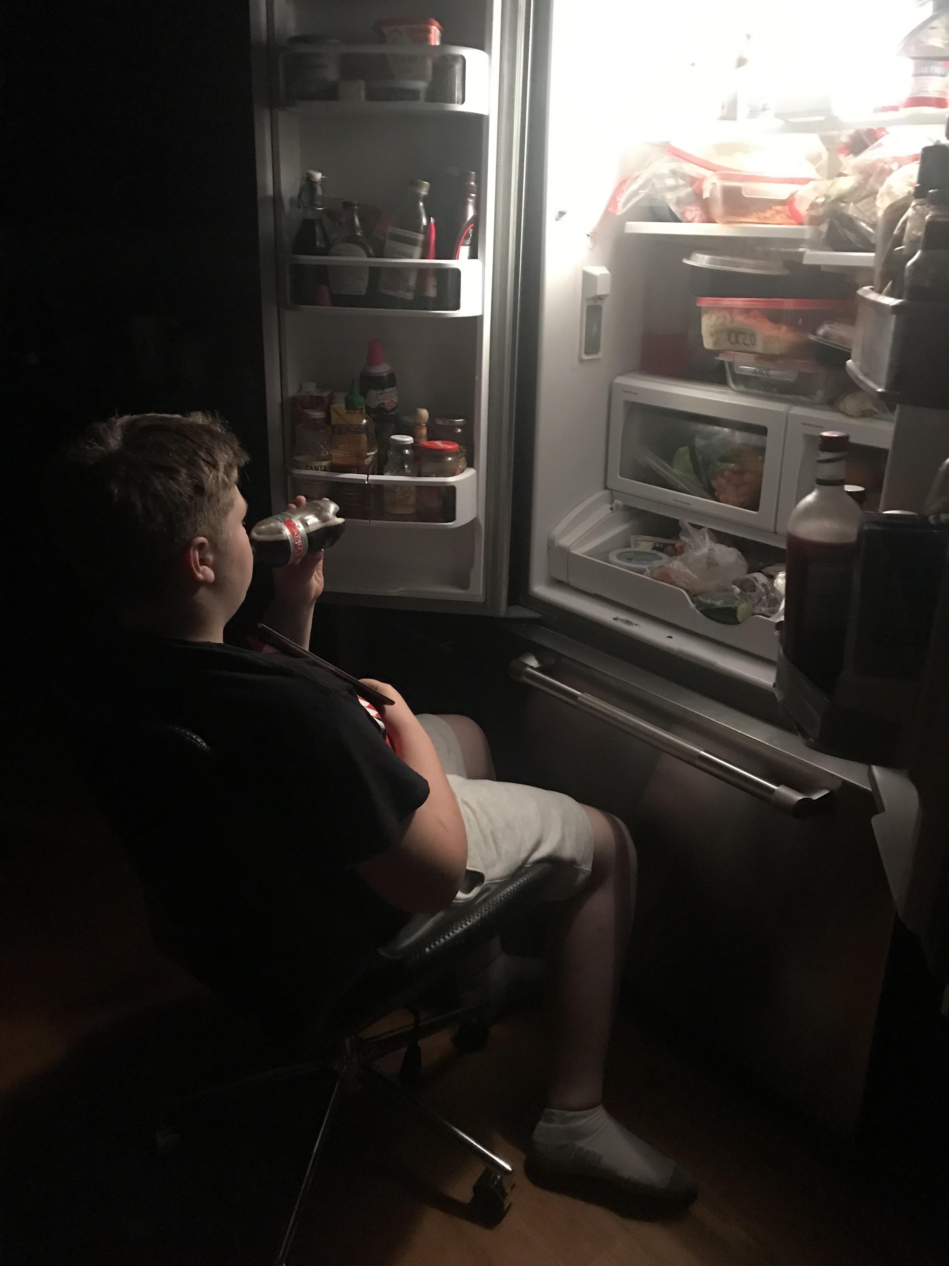 The fridge is just a roll away | Scrolller