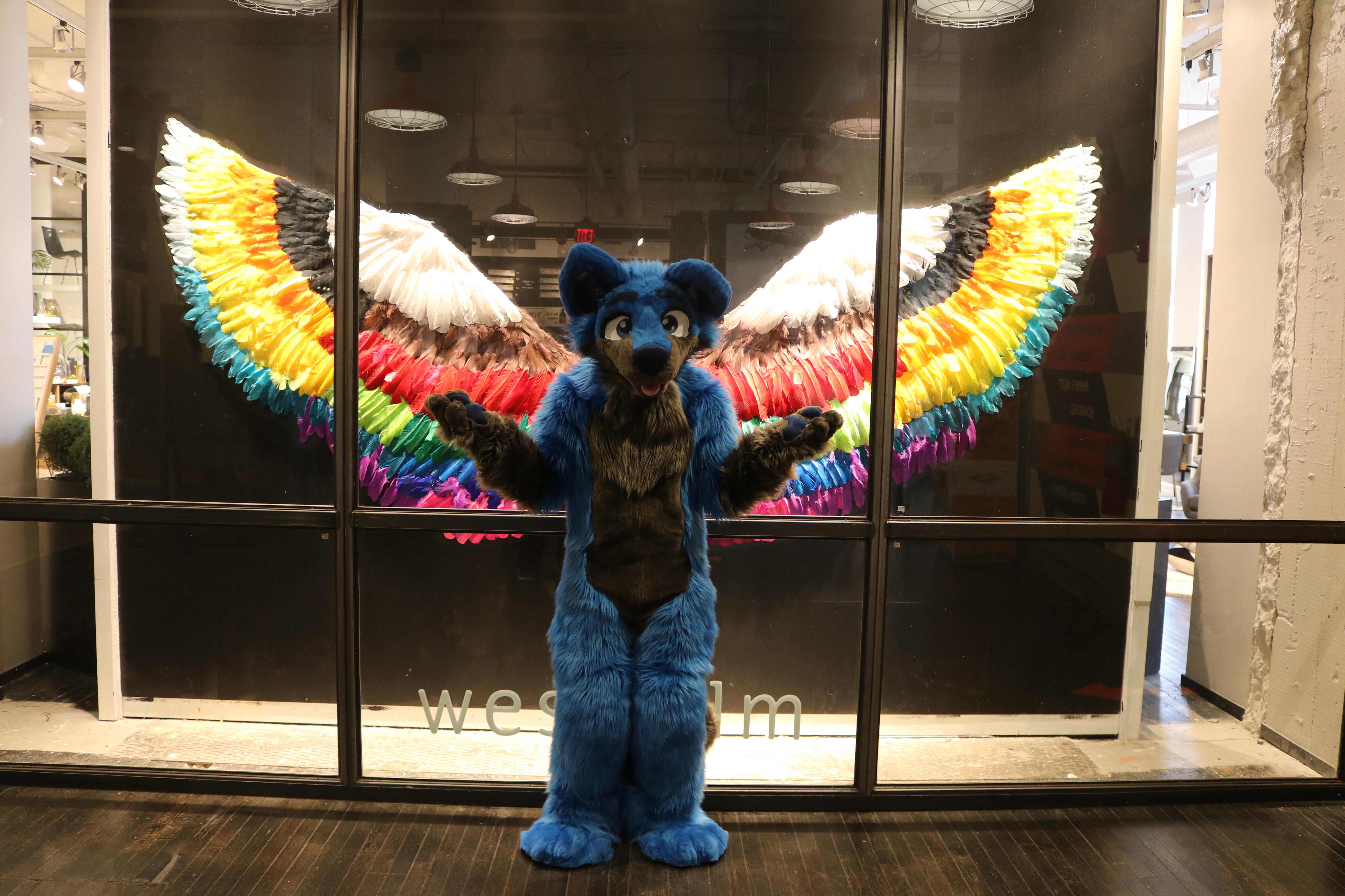 THE FURRIES HAVE ARRIVED | Scrolller