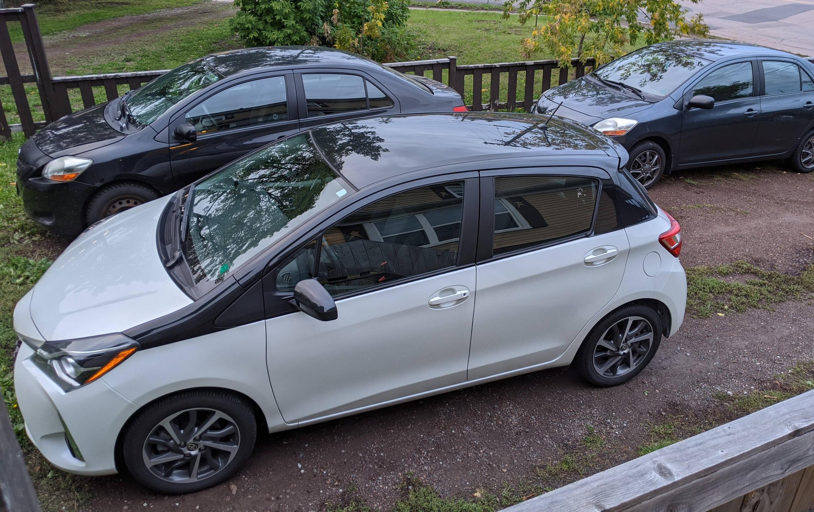 The gang is all here | Scrolller