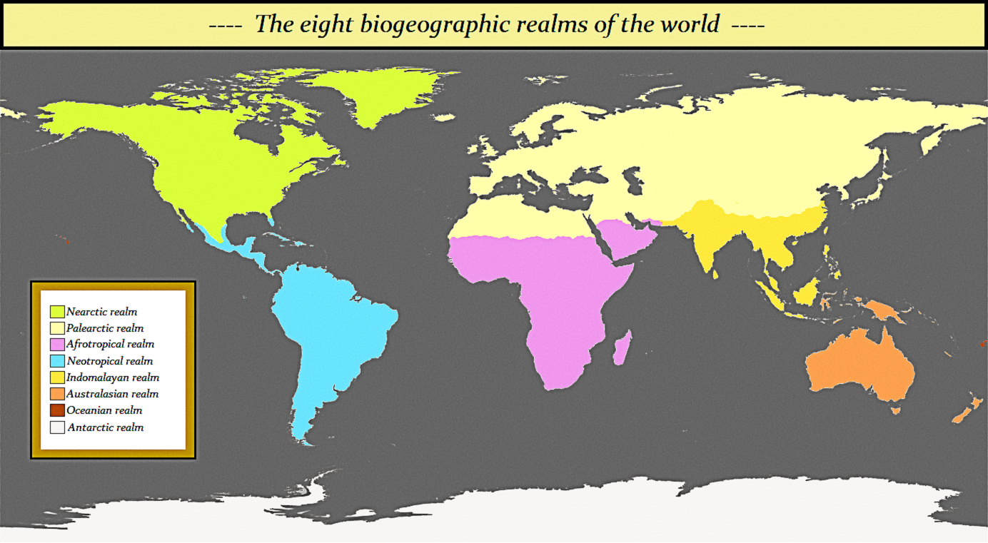 The geographic realms | Scrolller