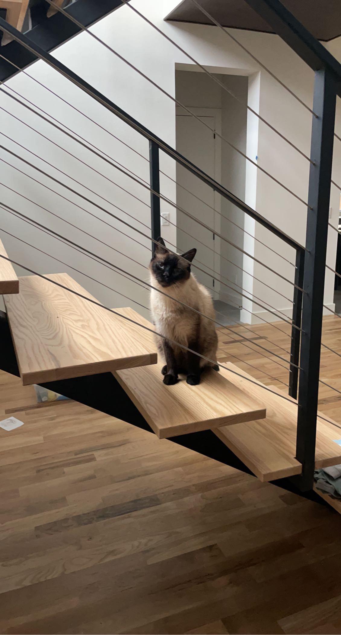 The head tilt | Scrolller