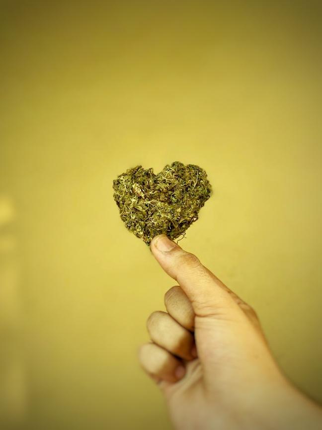 The Heart-Shaped Herb! | Scrolller