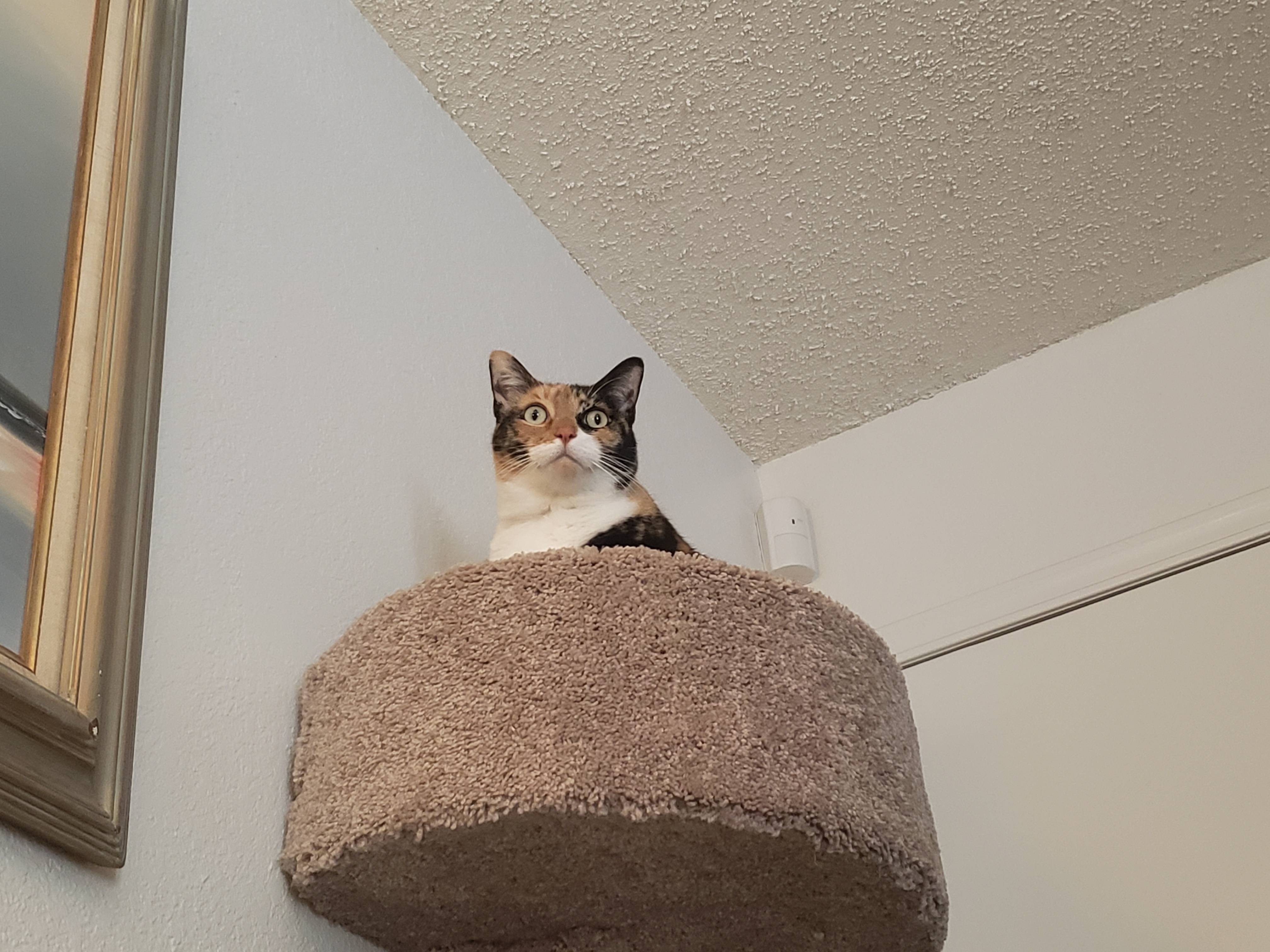 The heating vent is making noise. | Scrolller