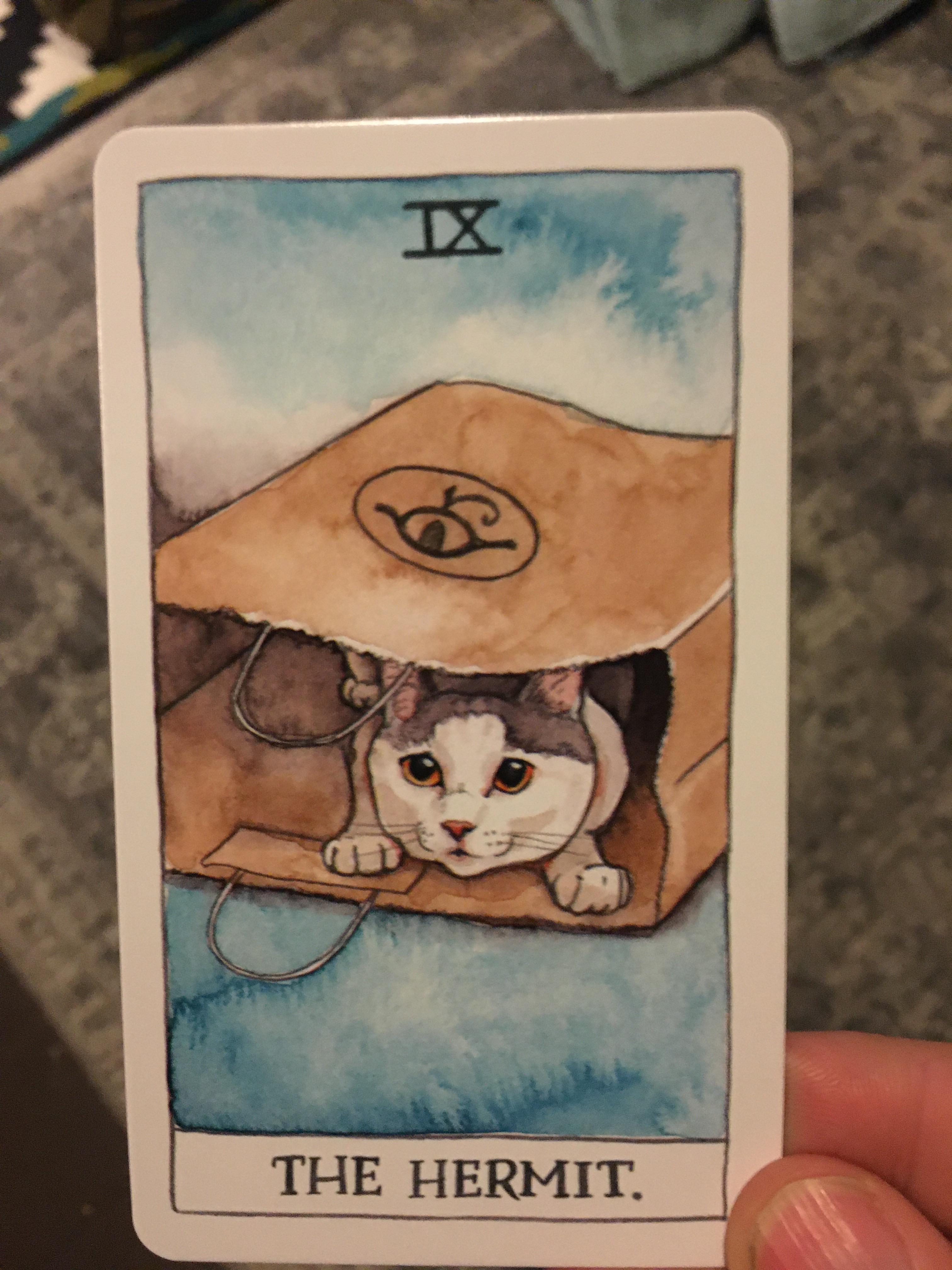 The Hermit from my Cat Tarot deck | Scrolller