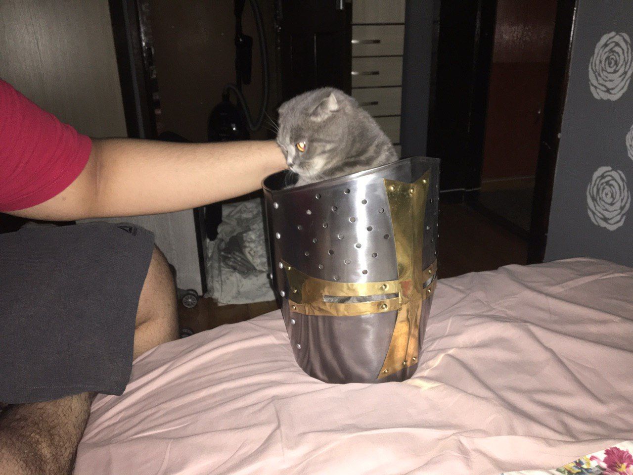 The Holy Templar Cat | Scrolller