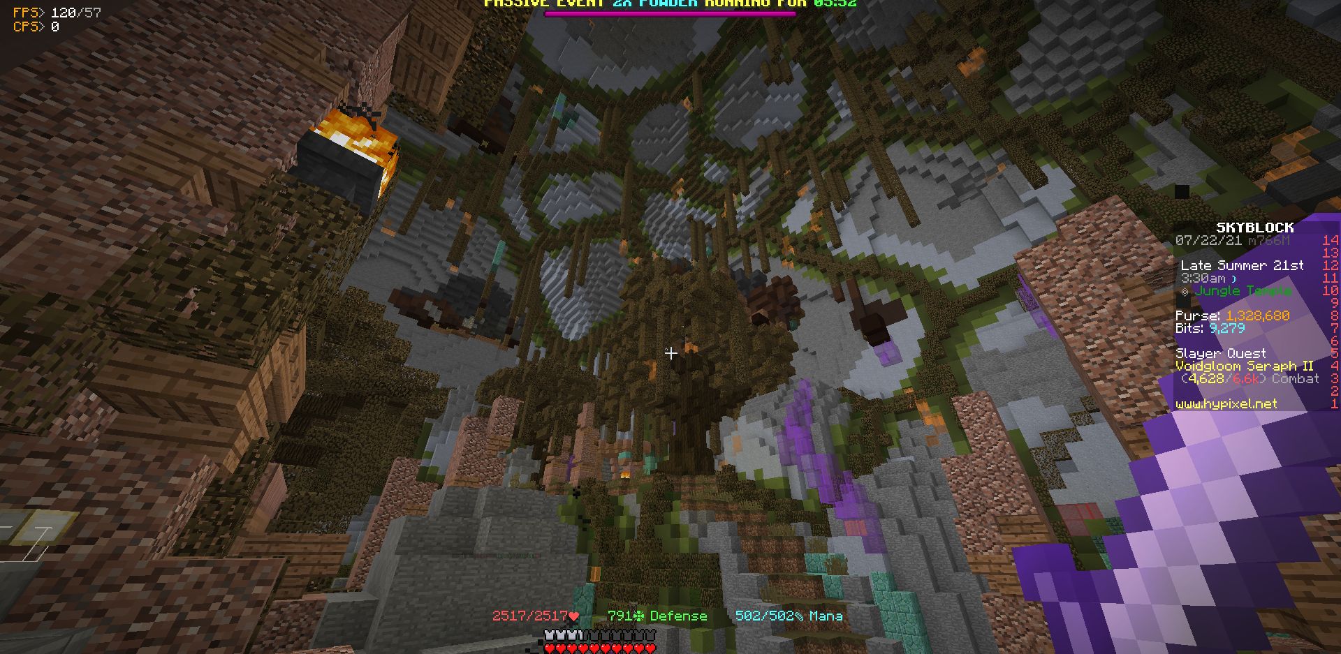 The jungle was cursed. It's dying now | Scrolller