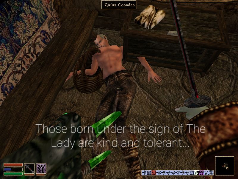 The Lady | Scrolller