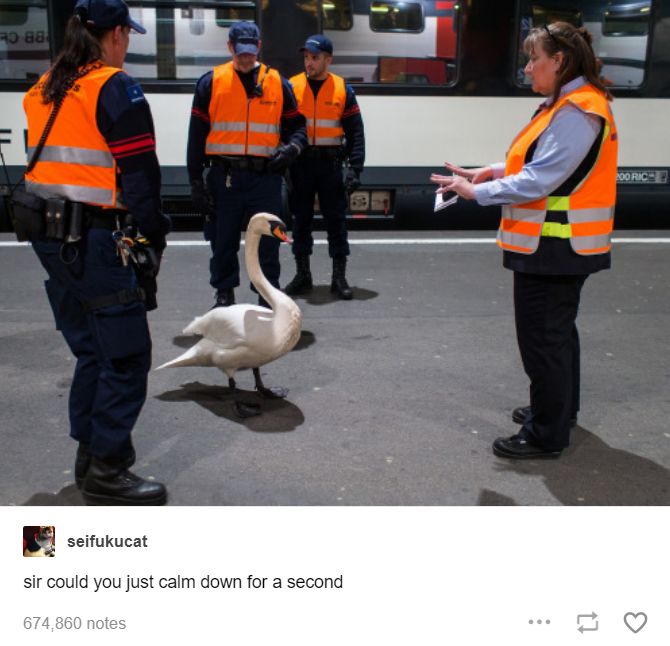 The last pic taken seconds before the attack | Scrolller