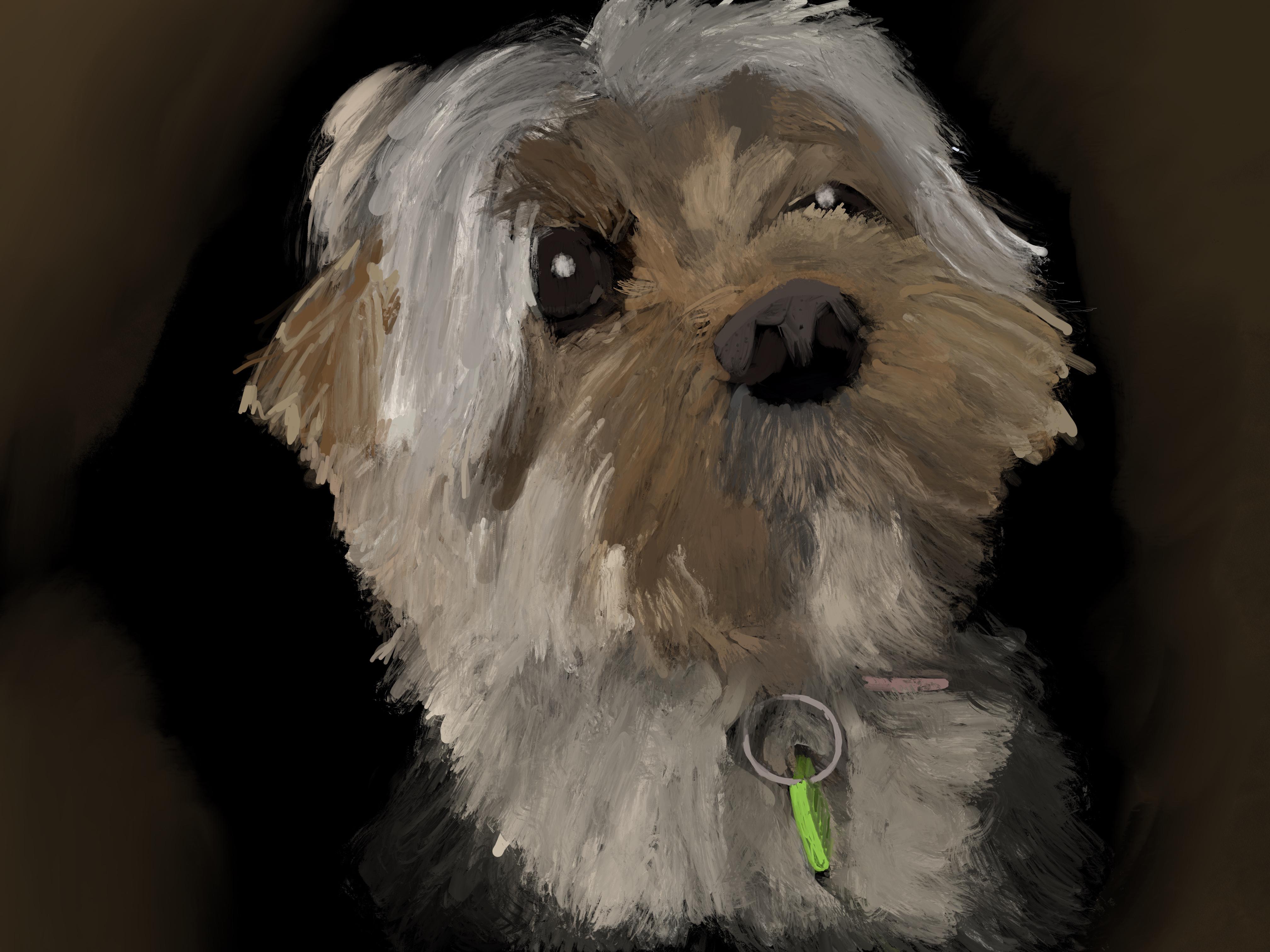 The late great Chels. My first submission | Scrolller