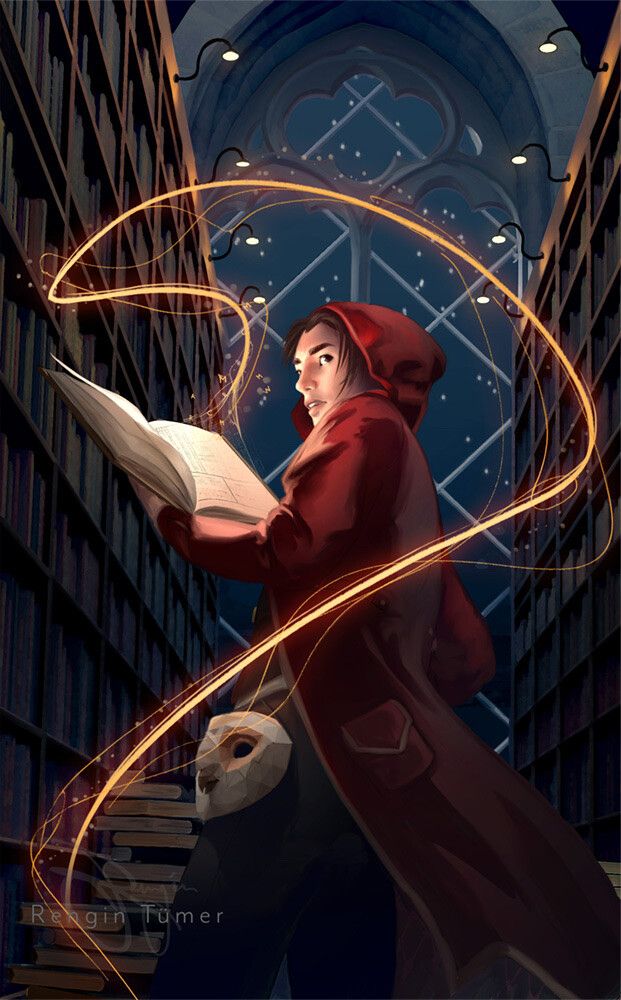 The Librarian by Rengin Turner | Scrolller