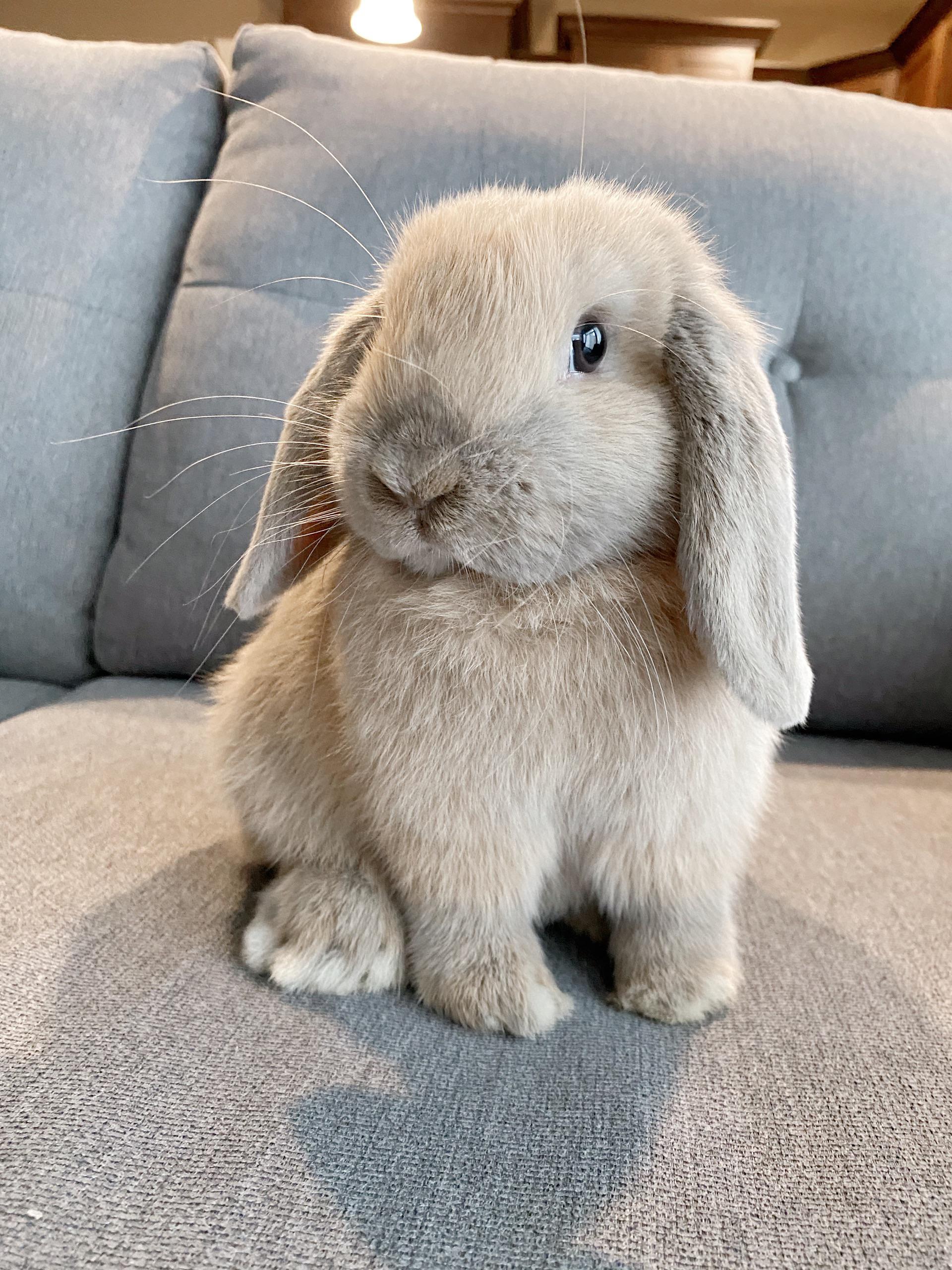 The little lady looking like a little stuffed animal! | Scrolller