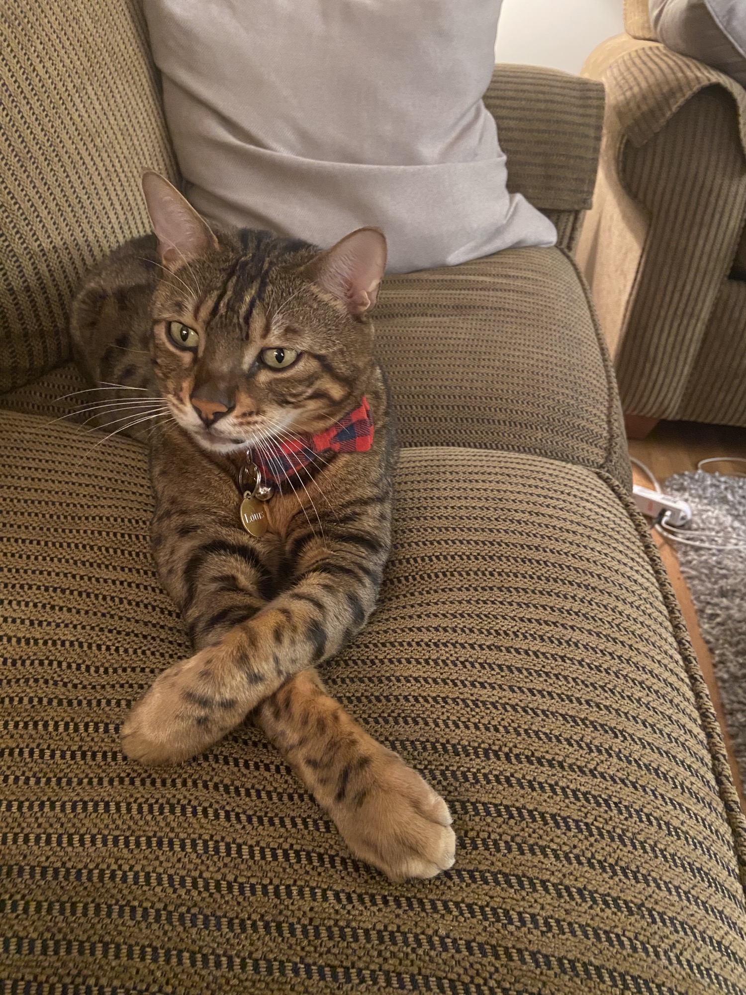 The look of sheer disappointment | Scrolller