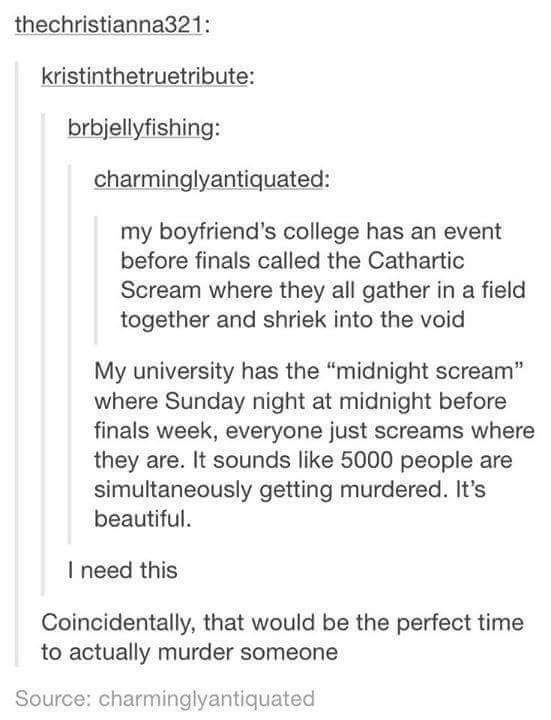 The Midnight Scream | Scrolller