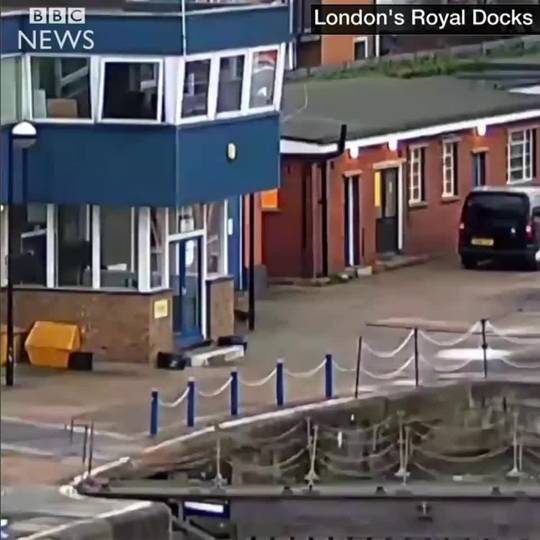 The moment a passerby saved Felix the cat after she fell into the Thames | Scrolller