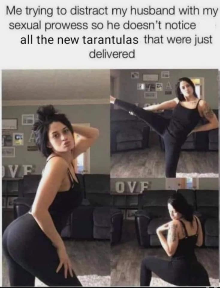 The monthly distraction dance | Scrolller