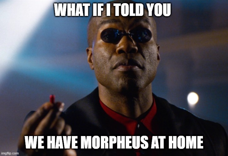 The Morpheus at Home | Scrolller