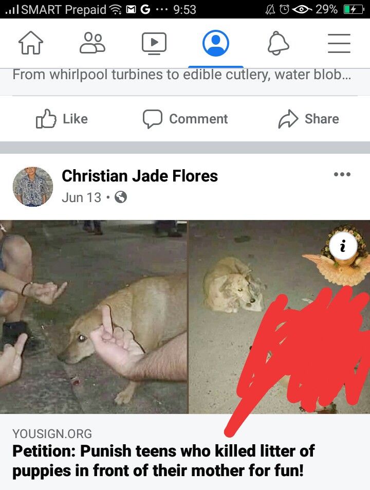 The most total peice of shit | Scrolller