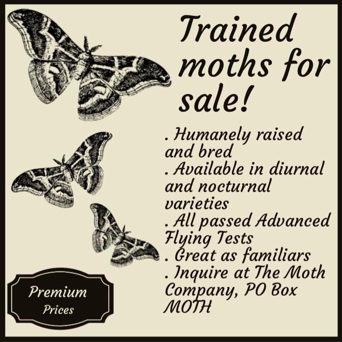 The Moth Company | Scrolller