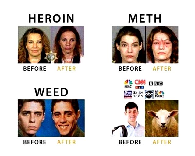 The MSM effect | Scrolller