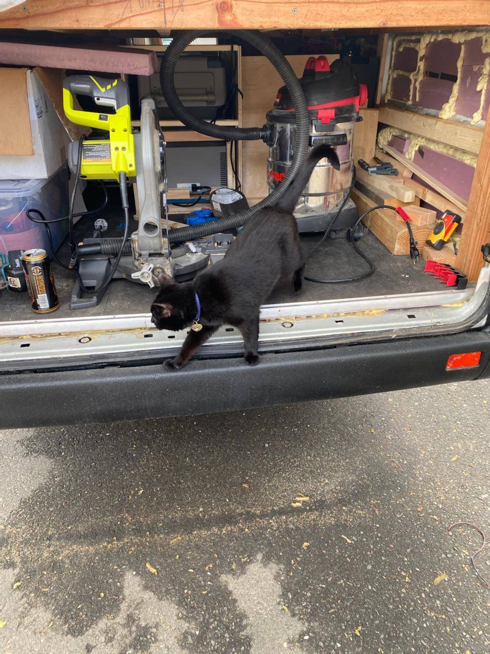 The neighborhood kitty came over to inspect our build. She thought it looked pretty pawsome ...