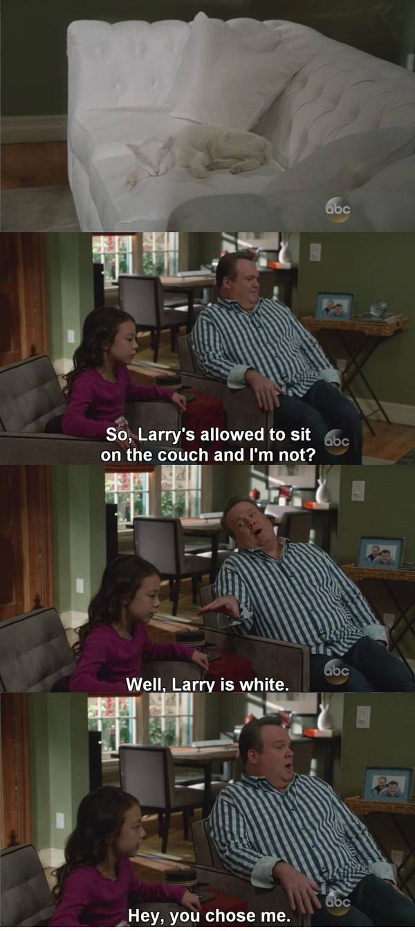 The new couch | Scrolller