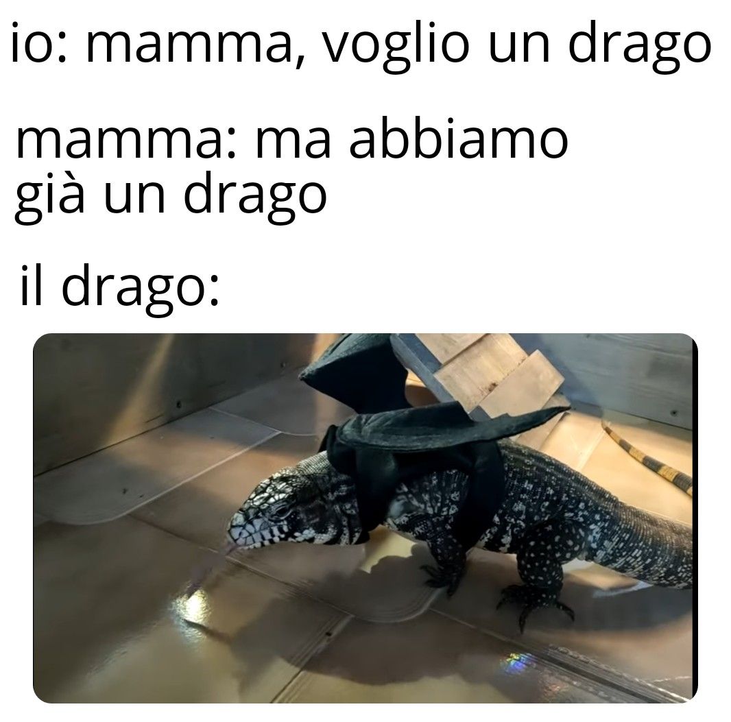 The new dragon | Scrolller